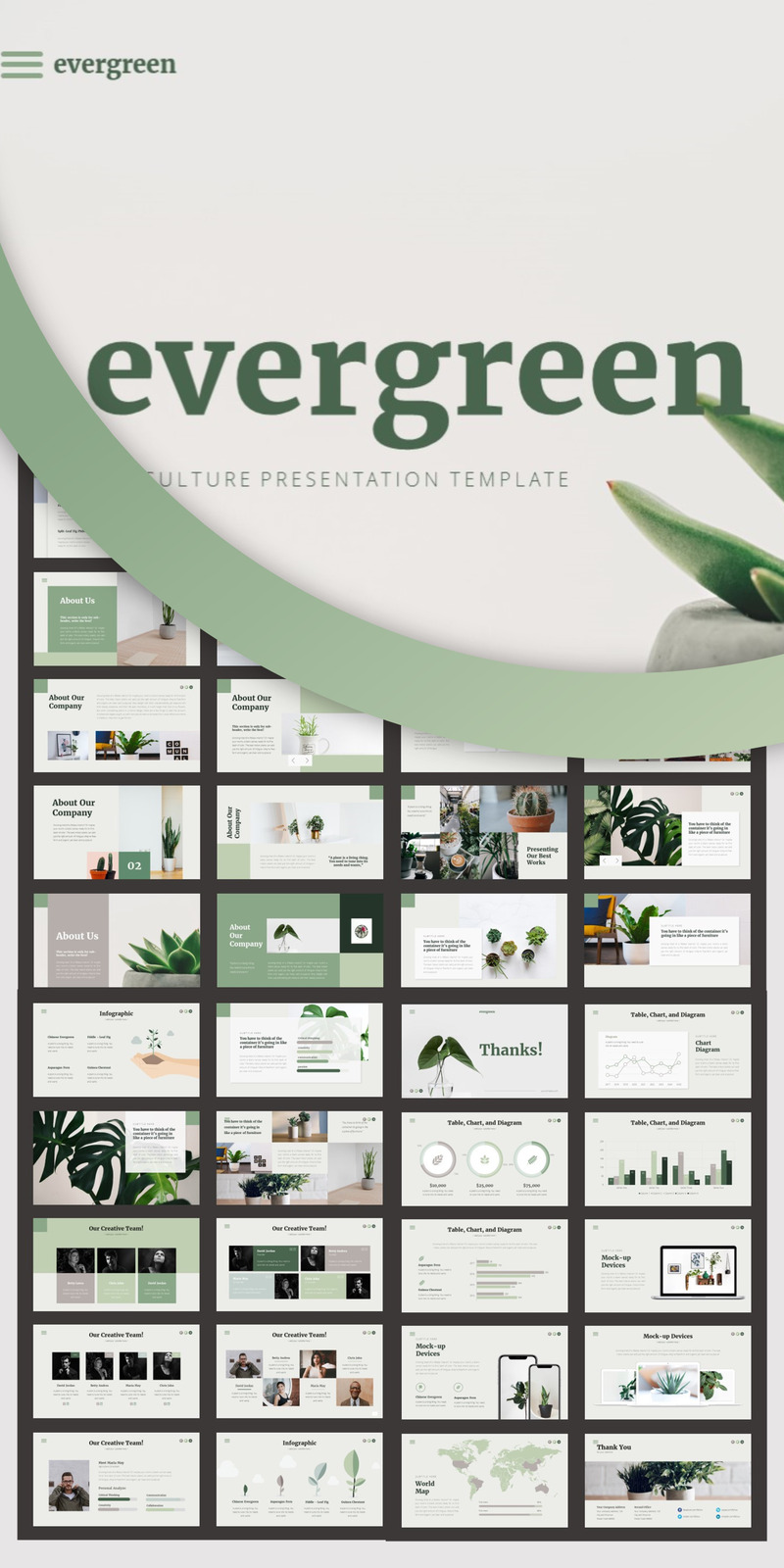 Evergreen Minimalist Presentation PowerPoint template